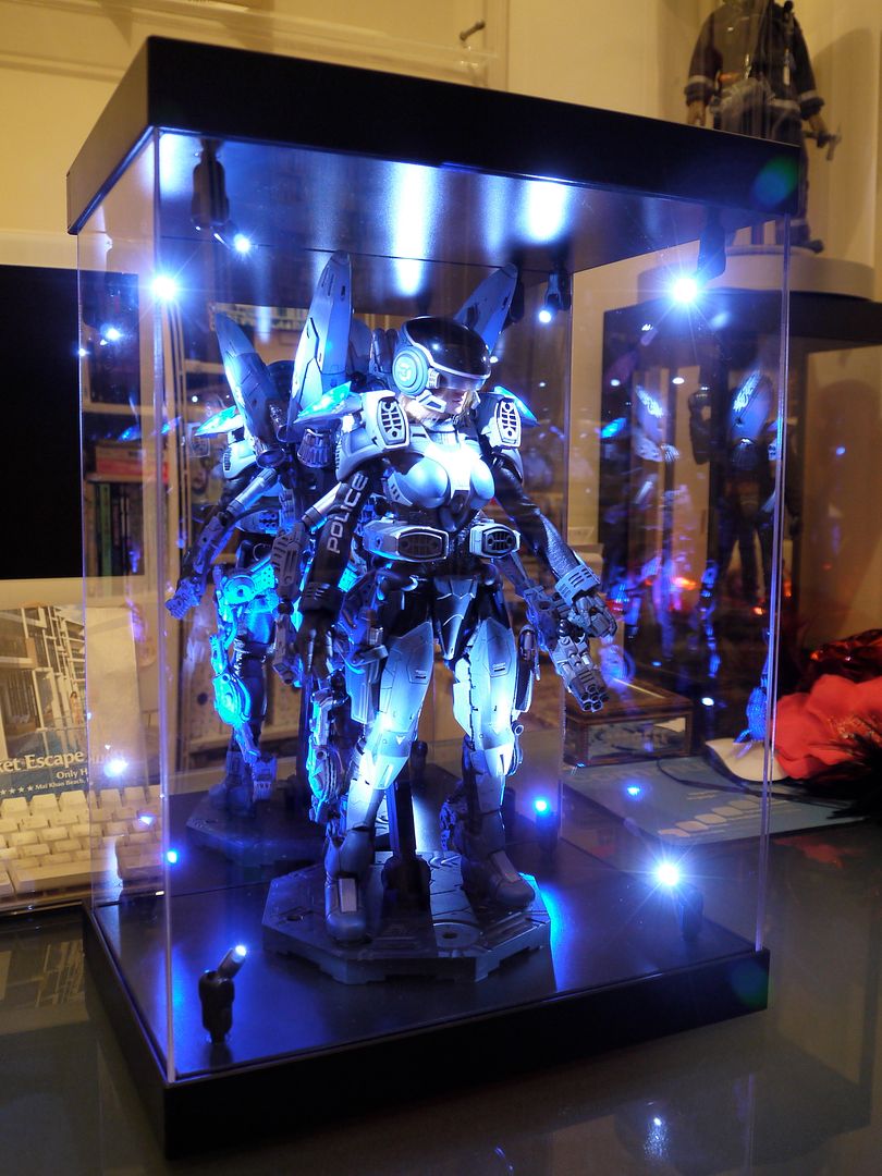 Legend Studio Lighted Display Case at Summer Schomburgk blog